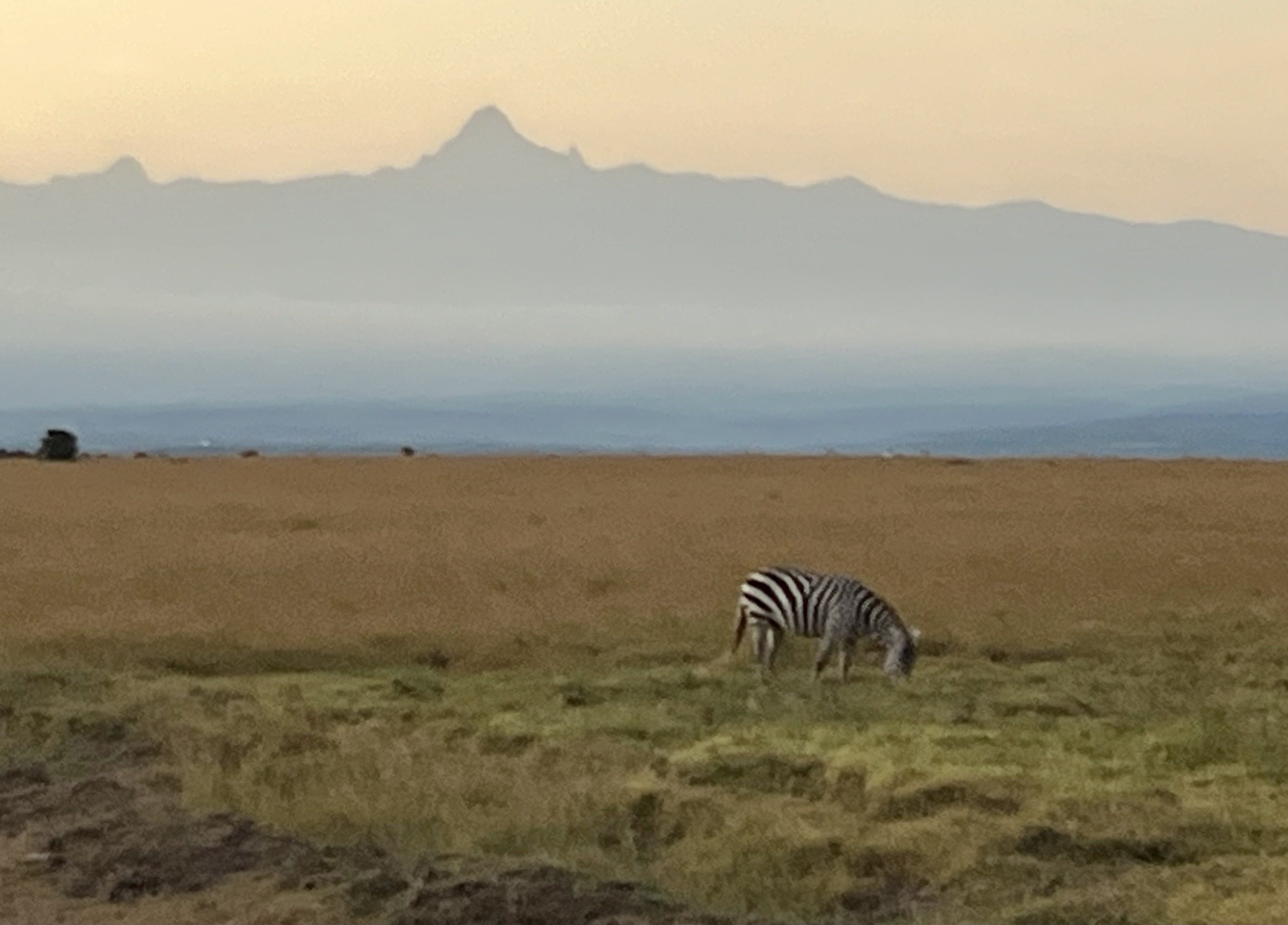 Kenya Safaris – Holly Berkley Fletcher